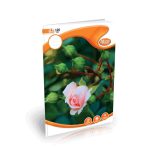 Atlas A4 Book CR 120Pgs (=) Single Ruled – Atlas MyShop